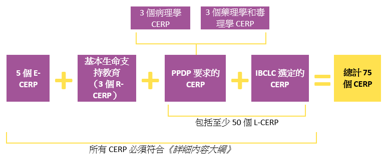 透過 CERP 流程進行自我評估和重新認證的說明 – IBCLC Commission