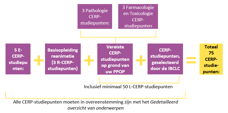 Toelichting op het proces van Zelfevaluatie en Hercertificering door ...